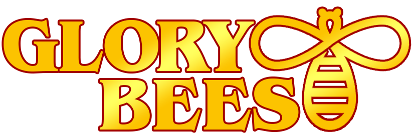 Fun with the Glory Bees | Suncreek UMC